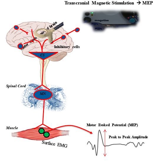 Dr Simran Sidhu | Researcher Profiles