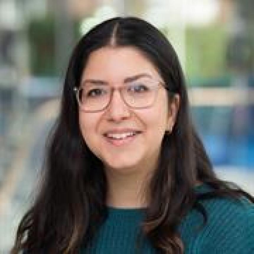 Nikoo Soltan Mohammadzadeh | Researcher Profiles